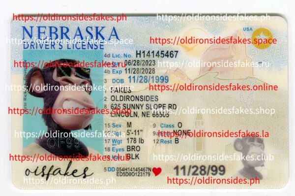 Nebraska Driver License(New NE) - OldIronsidesFakes - Best & Fast Fake ...